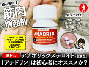 【筋トレ】アナボリックステロイド「アナドリン」初心者にオススメか